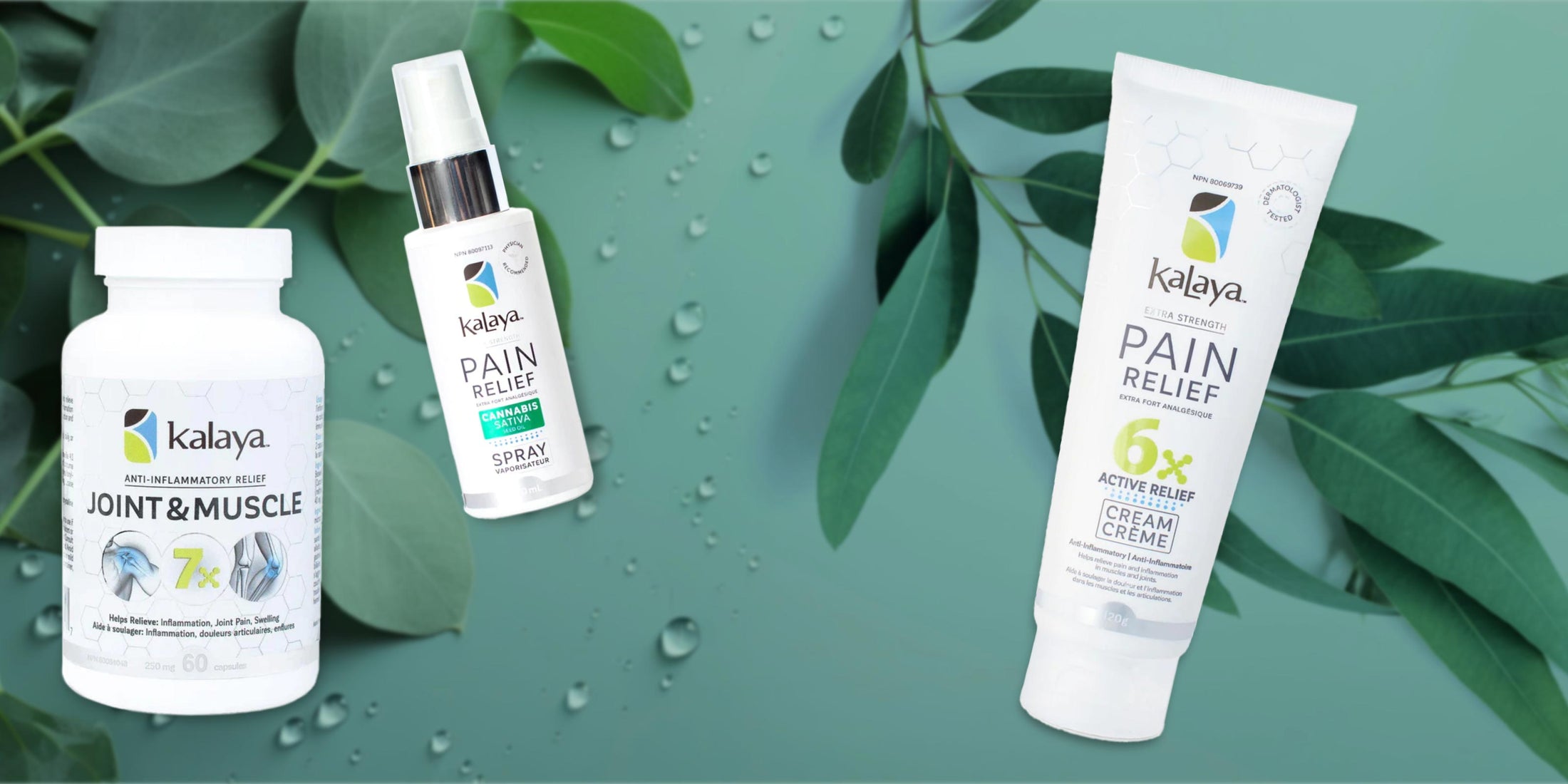 Kalaya Canada - Pain Management Cream, Spray, and Supplements